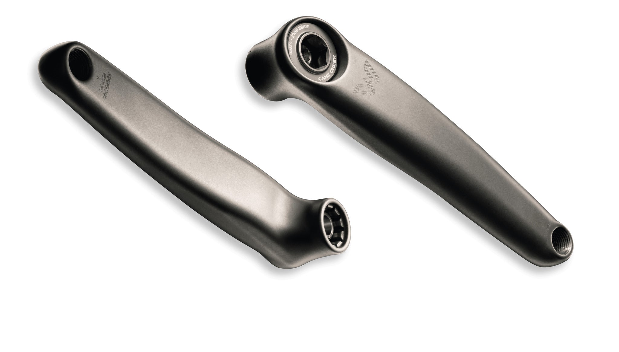 Electric Wings – CycleWyze